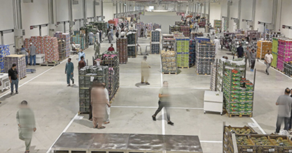 About Us – Silal Fruit and Vegetable Central Market